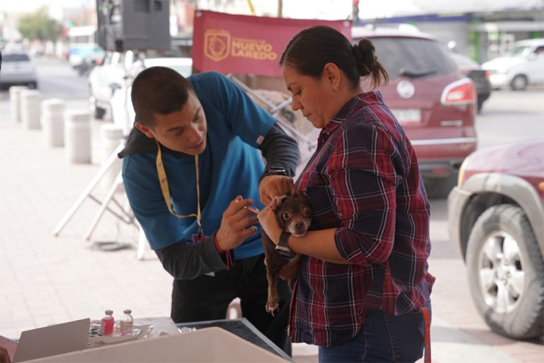 Stereo 91 – XHNOE-FM